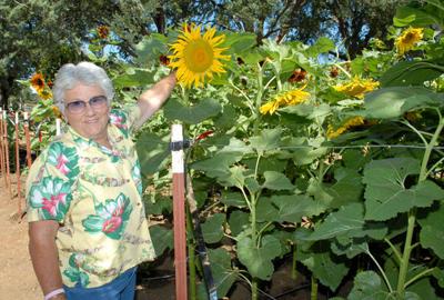 Flower power provides seeds for hope | Prospecting | mtdemocrat.com