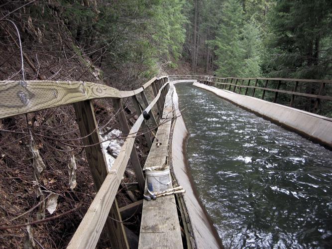 Forebay | Photo Galleries | mtdemocrat.com