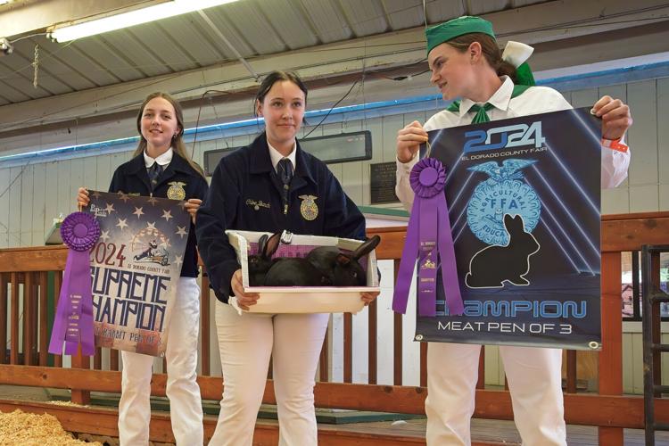 A supremely good time at the Junior Livestock Auction | News ...