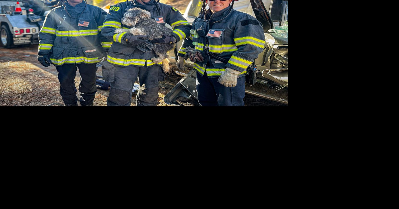 Petite pooch pulled from perilous position | News | mtdemocrat.com