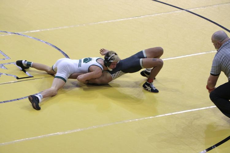 9 qualify for state wrestling meet | Sports | mtdemocrat.com