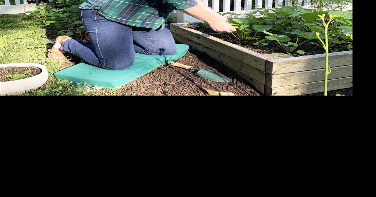 5 benefits of growing your own produce | Advertising | mtdemocrat.com