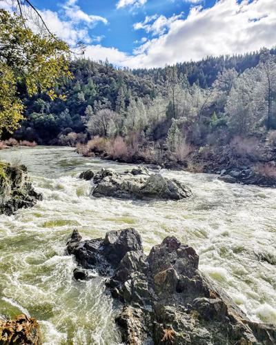 Day Hiker: Confluence Trail | Prospecting | mtdemocrat.com