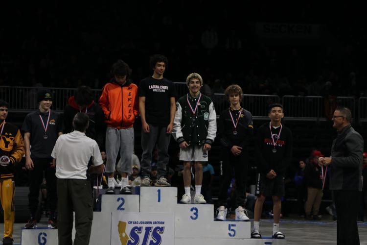 9 qualify for state wrestling meet | Sports | mtdemocrat.com