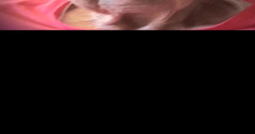 Betty June Nichols | Obituaries | mtdemocrat.com