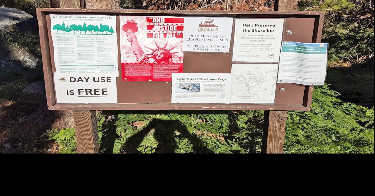 forest services board