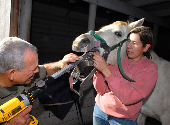 Veterinarian: Show me your teeth | News | mtdemocrat.com