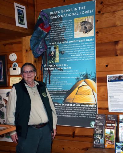 forest services board