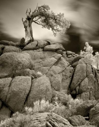 Paul Cockrell show celebrates spring | Prospecting | mtdemocrat.com