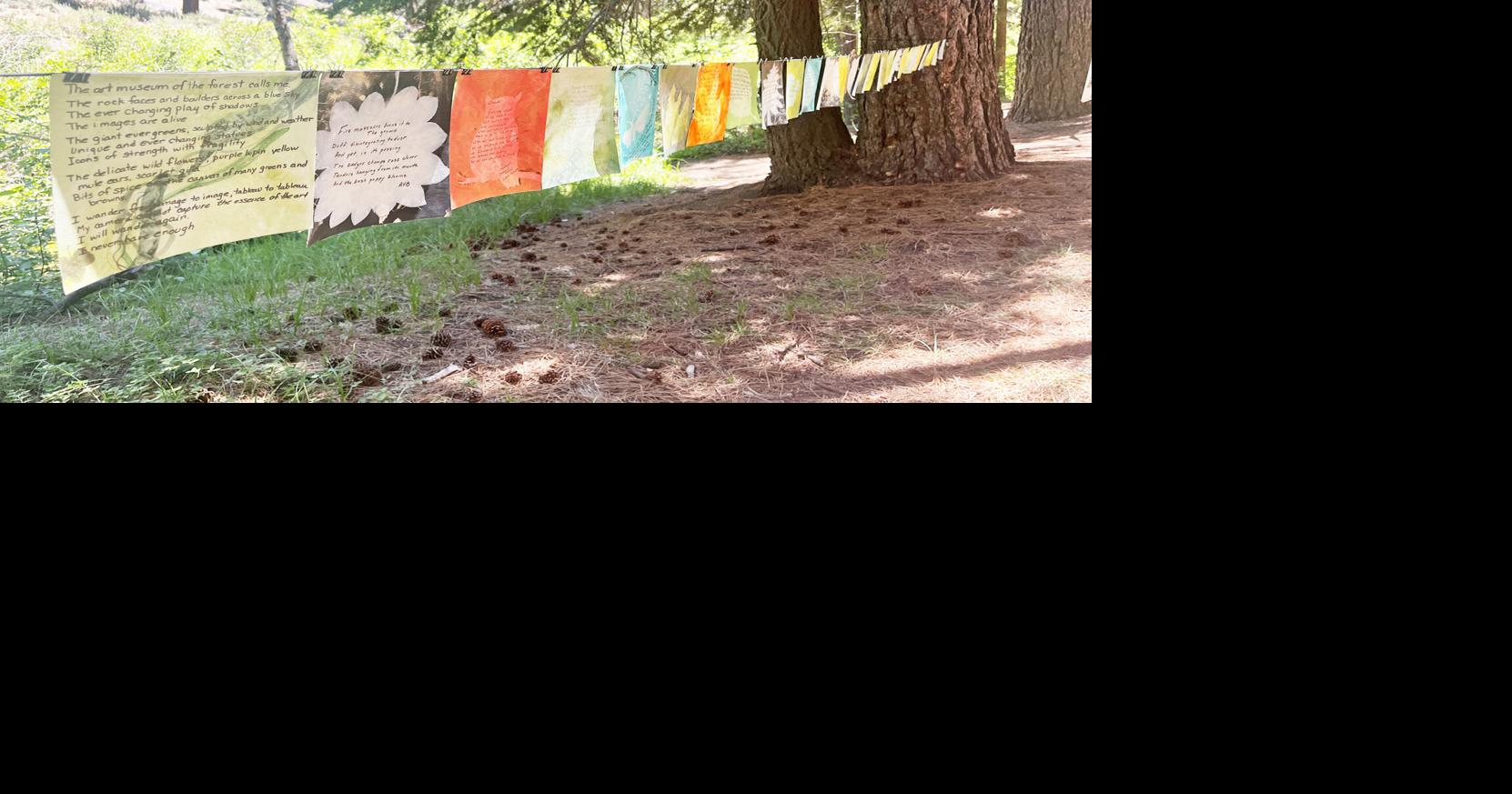 Celebrating wilderness with art, poetry and sound | Prospecting ...