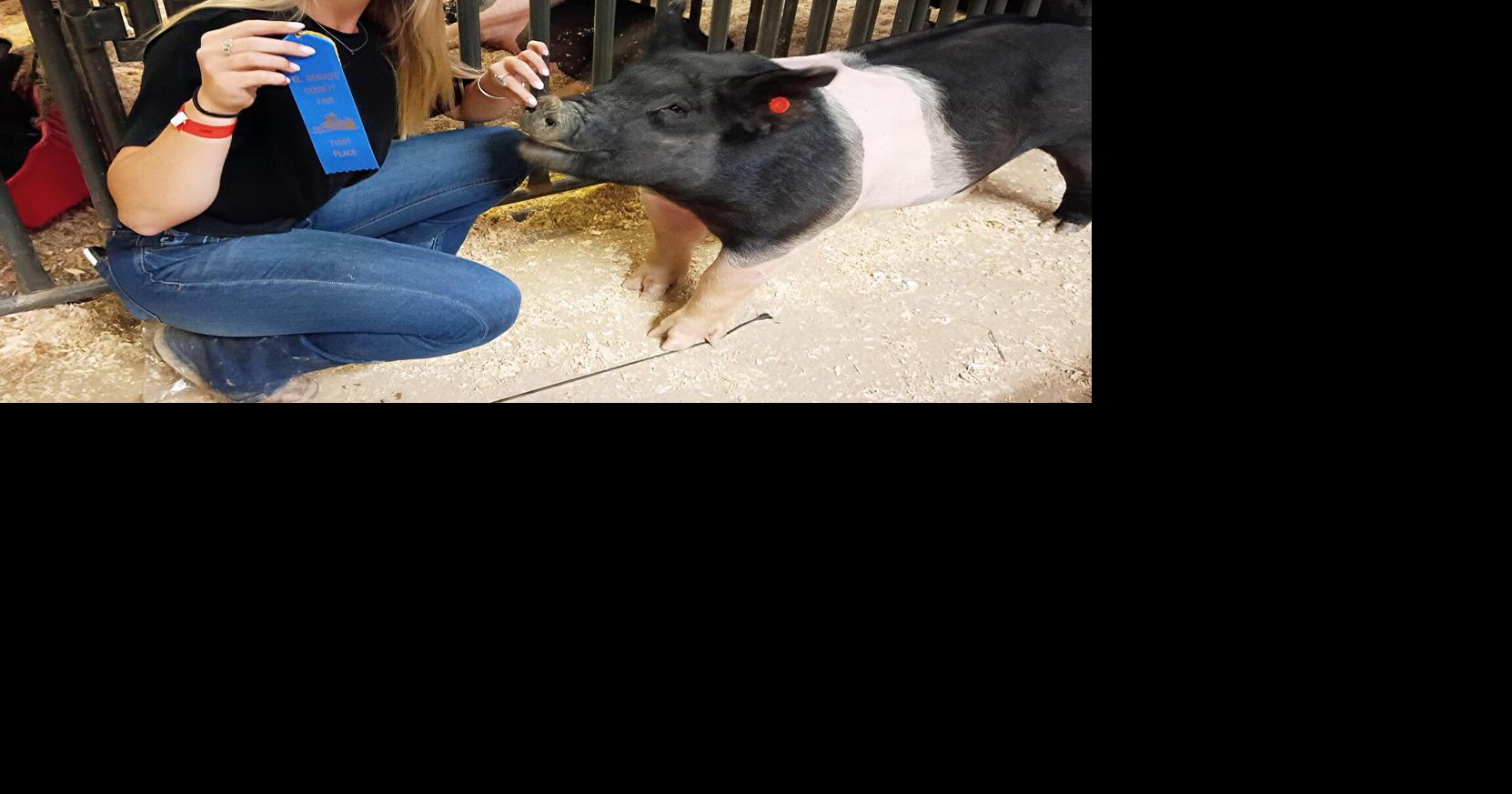 Swine tails — Local youth discuss county fair animal projects | News ...