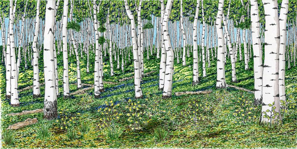 Be more colorful with PAA's Open Studio Tour | Prospecting | mtdemocrat.com