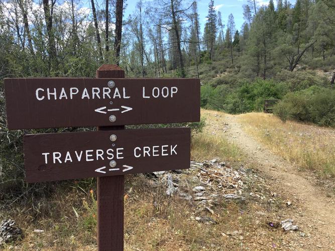 Traverse Creek Special Interest Area — gem of a hike | Prospecting ...