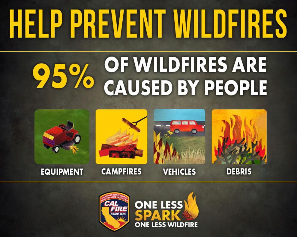 Special Publications | mtdemocrat.com