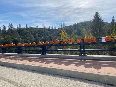 Tradition keeps on glowing | News | mtdemocrat.com