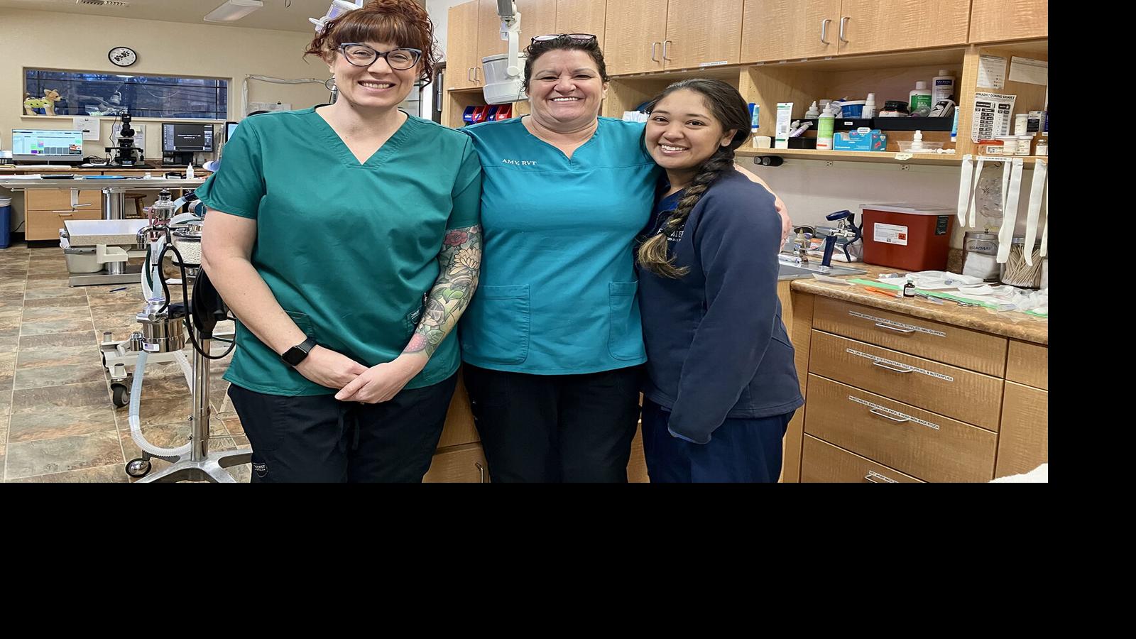 Crime/Police | mtdemocrat.com