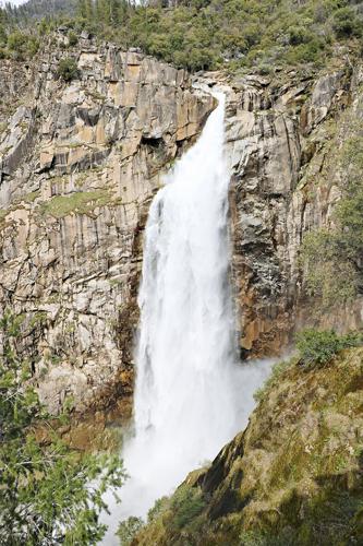 Day Hiker: Feather Falls Trail | Prospecting | mtdemocrat.com