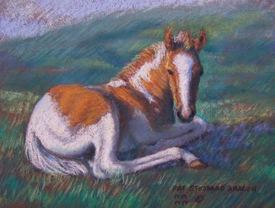 Pat Stoddard Aragon | Photo Galleries | mtdemocrat.com