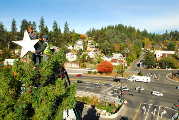 Hangtown Christmas tree gets seasonal snazz | Archives | mtdemocrat.com