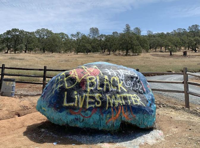 Photo: El Dorado Hills rocks painted | News | mtdemocrat.com