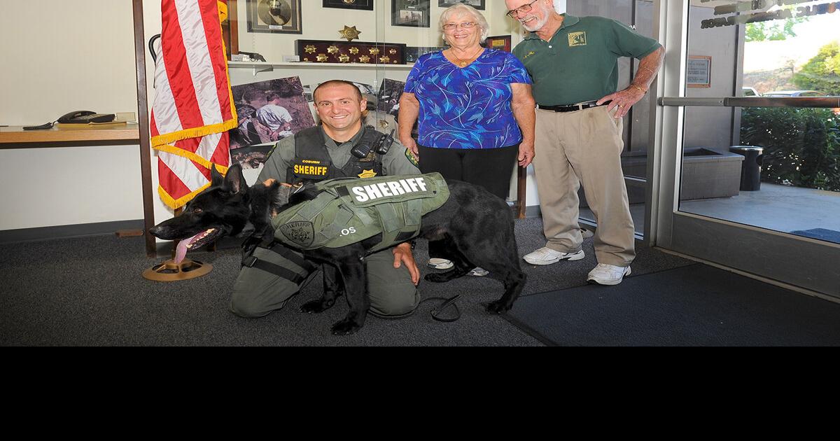 New vests for Sheriff canine units | Photo Galleries | mtdemocrat.com