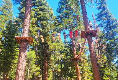 Day Hiker: Tahoe Treetop Adventure Trail | Prospecting | mtdemocrat.com