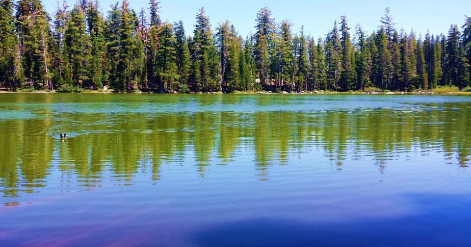 Day Hiker: Summit Lake trail – a summer escape with alpine views ...