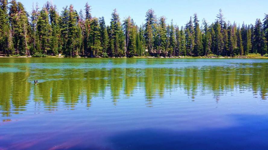 Day Hiker: Summit Lake trail – a summer escape with alpine views ...
