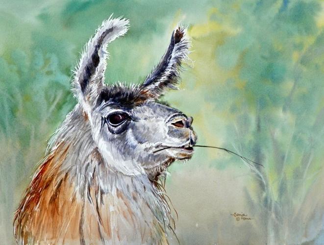 Hamilton’s watercolors on display | Prospecting | mtdemocrat.com