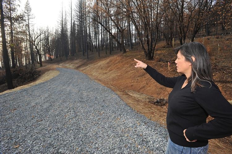 White Meadows continues King Fire recovery | News | mtdemocrat.com