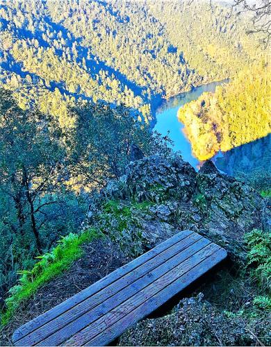 Day Hiker: Foresthill Divide Loop Trail | Prospecting | mtdemocrat.com