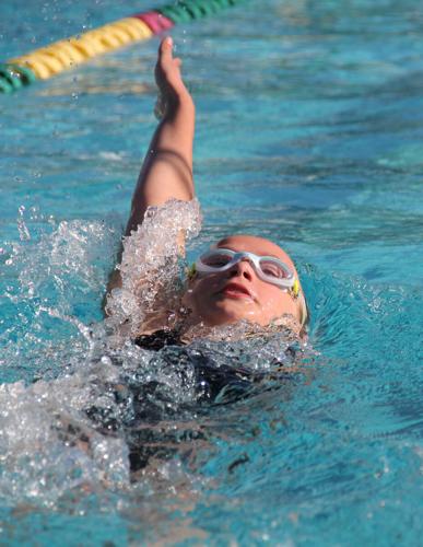 Alice Stainer | Photo Galleries | mtdemocrat.com