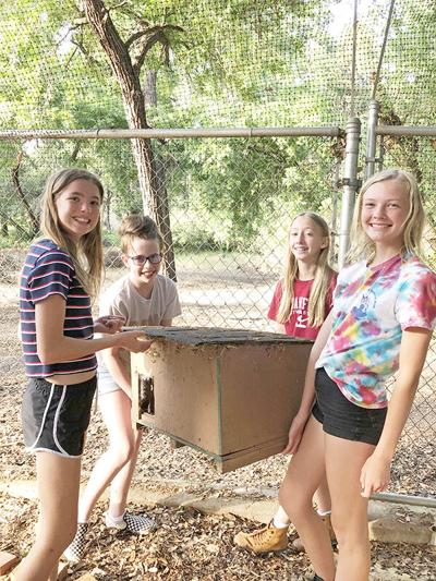 Girl Scouts put skills to purr-fect use | Prospecting | mtdemocrat.com