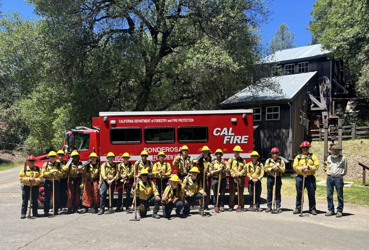 Fuels reduction project beautifies Gold Bug Park and Mine property ...