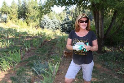 Nancy Visman’s incredible hillside iris garden a piece of paradise ...