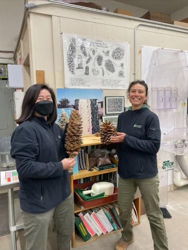 Forest Forum to visit Cal Fire reforestation center | News | mtdemocrat.com