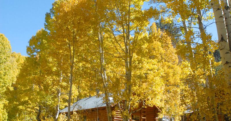 Sorensen’s Resort | Photo Galleries | mtdemocrat.com