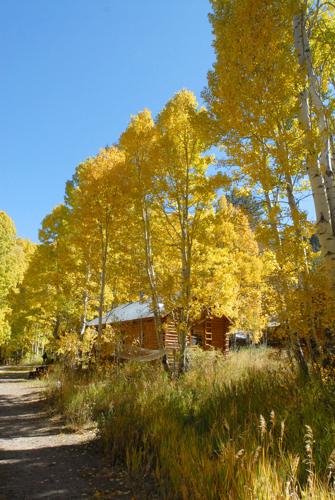 Sorensen’s Resort | Photo Galleries | mtdemocrat.com