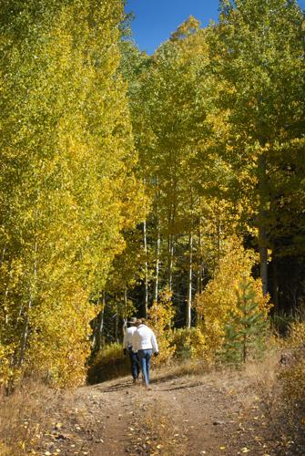 High country colors | Photo Galleries | mtdemocrat.com
