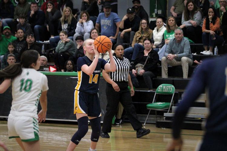 Trojans' state playoff run ends in Oakland | News | mtdemocrat.com