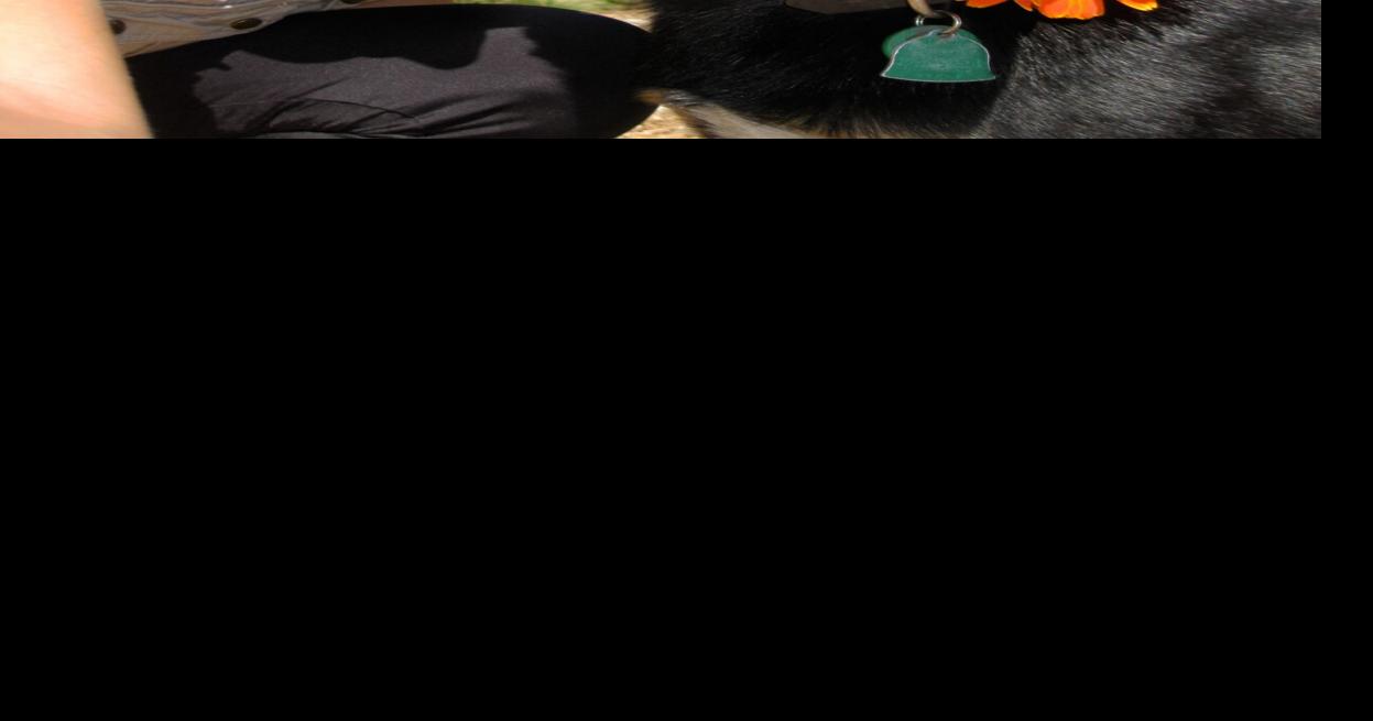 Friends remember Khrista Ibarolle | News | mtdemocrat.com