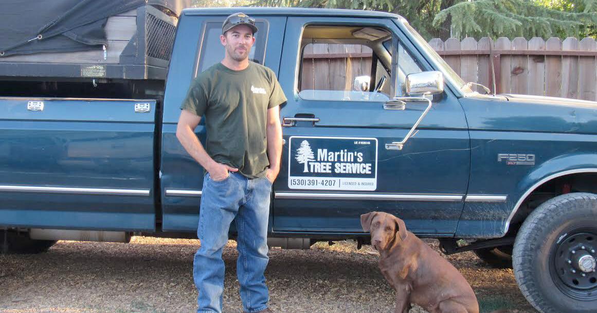 Best Tree Service: Martin’s Tree Service | Readers Choice | mtdemocrat.com