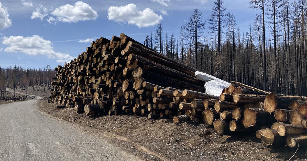 New Carson City mill to process Caldor logs | News | mtdemocrat.com