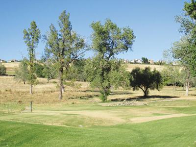 Top stories of 2022: Central EDH Specific Plan denied | News ...