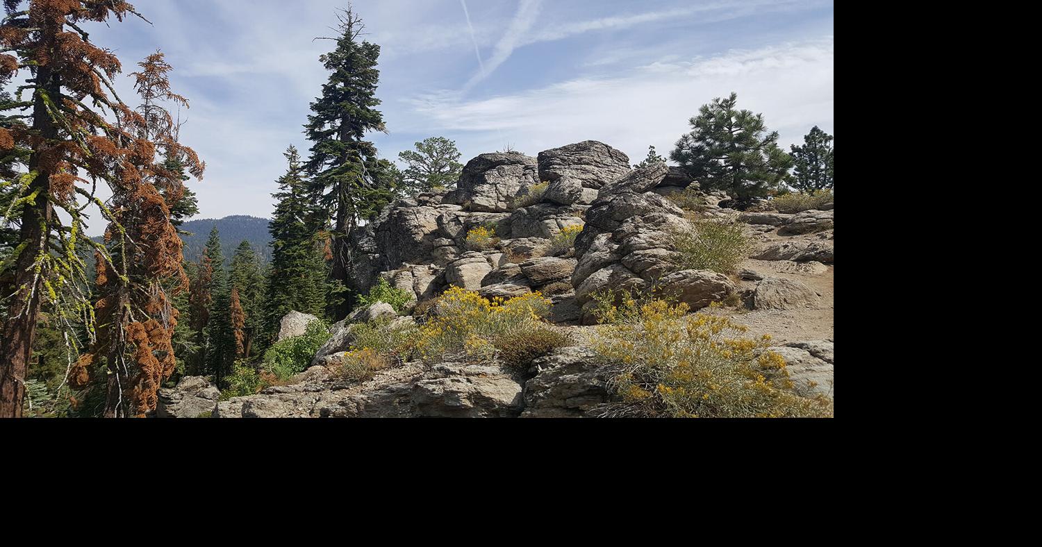Day Hiker: Brockway Summit Trail – A Journey Along the Tahoe Rim Trail ...