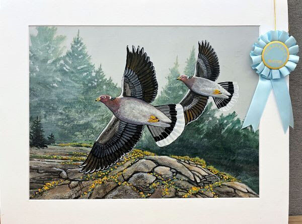 Maryland artist wins Upland Game Bird Stamp contest | Prospecting ...