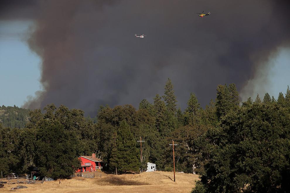 Coyote Fire chars south county wildland | News | mtdemocrat.com