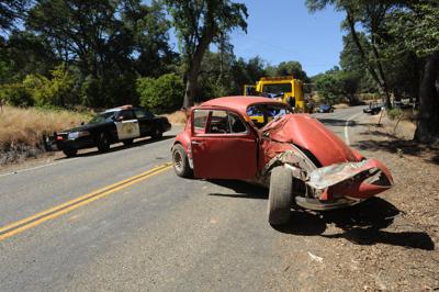 Smashed Bug | Photo Galleries | mtdemocrat.com