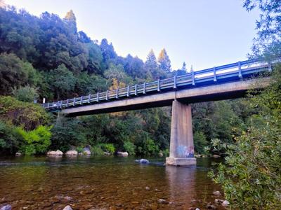 Day Hiker: Dog Bar Bridge Trail | Prospecting | mtdemocrat.com