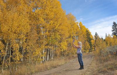 Where to view fall foliage — then grab a bite — in Lake Tahoe | News ...